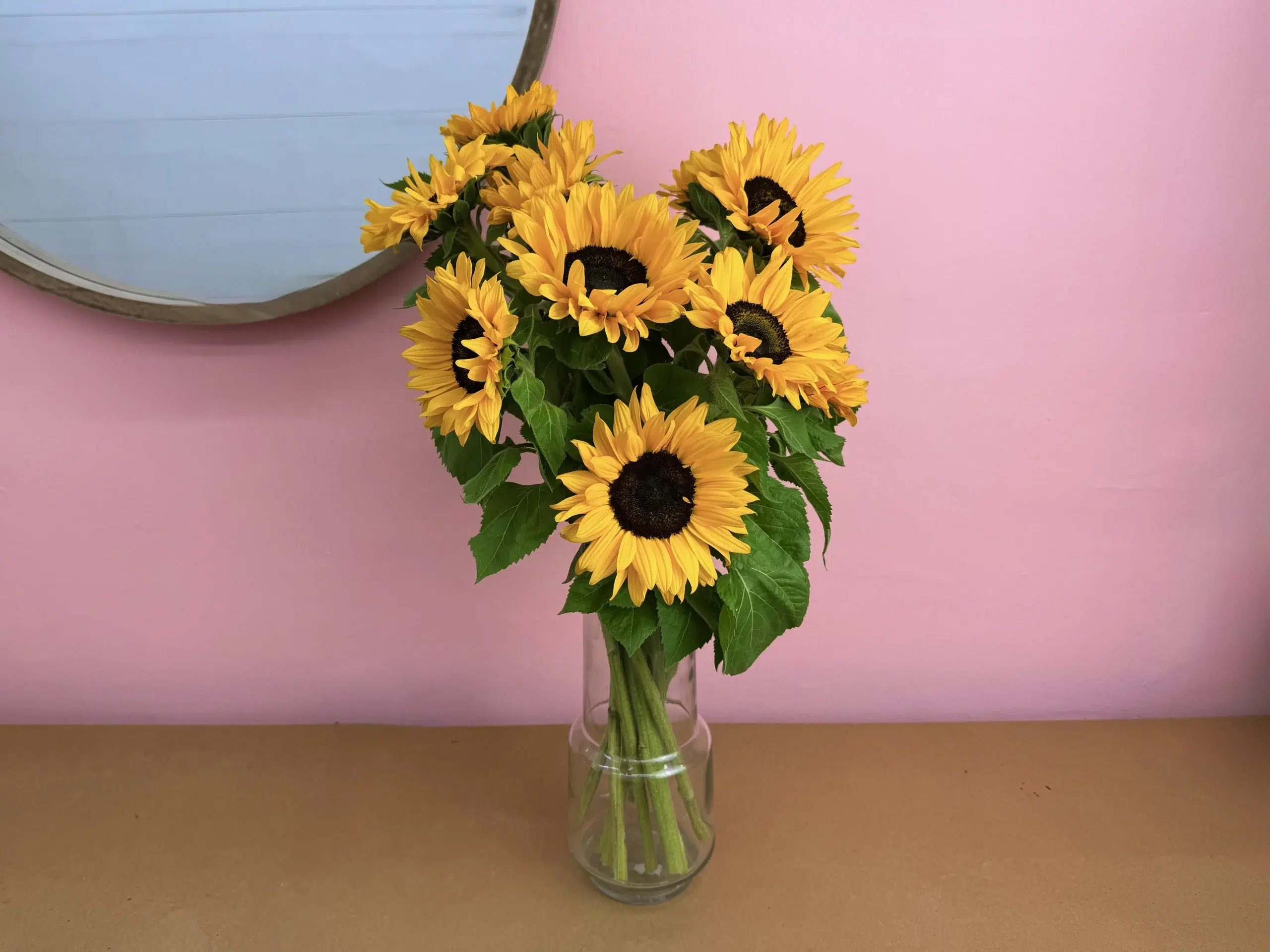 באנצ' חמניות – זר עוצמתי שכולו אור ושמחה FLOAR | פְלוּאָר