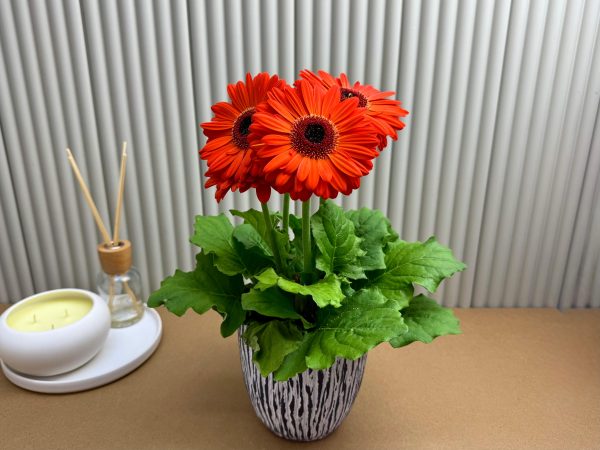 FLOAR משלוחי פרחים מהיום להיום בקלות דרך האתר🌷