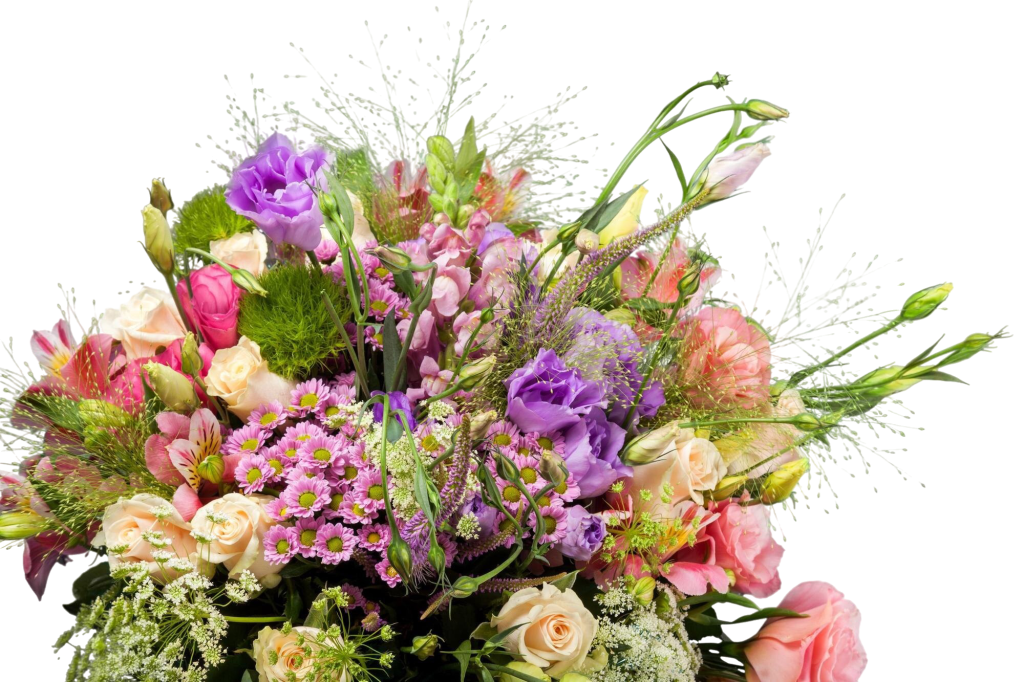 main flowers - FLOAR | פְלוּאָר